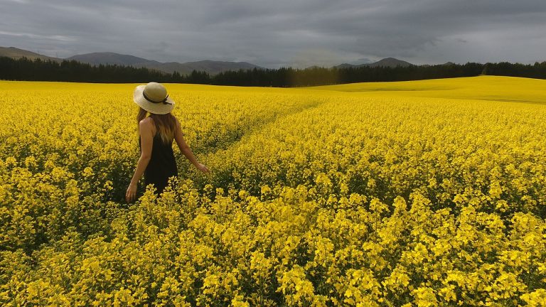 Uttar Pradesh Tourism: A Comprehensive Guide to India's Heartland